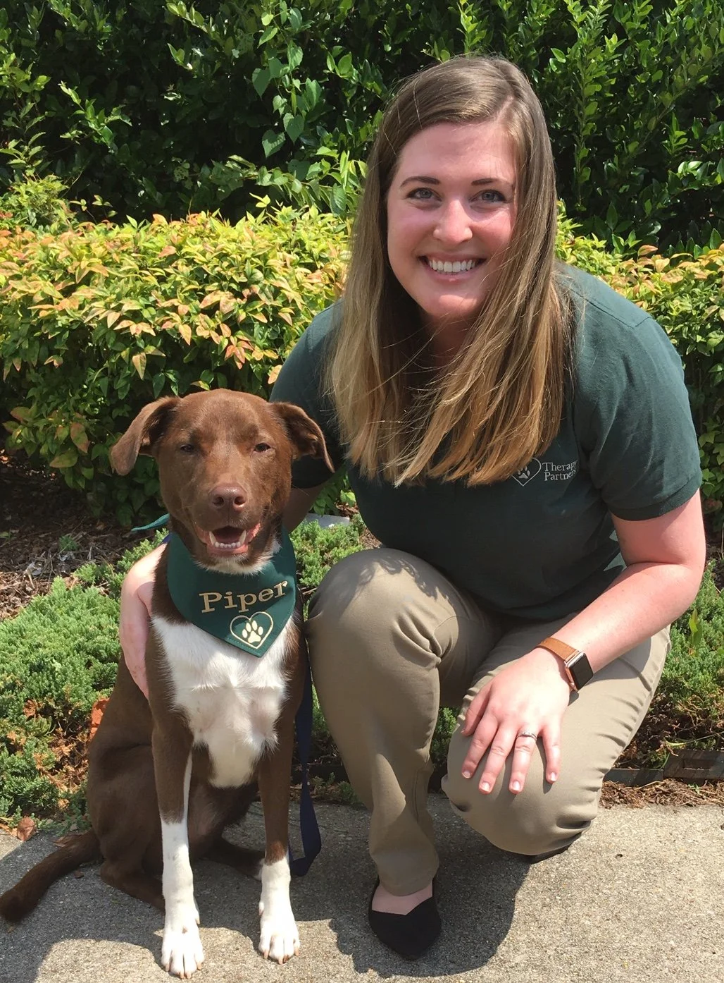 Therapy Teams — Therapy Partners