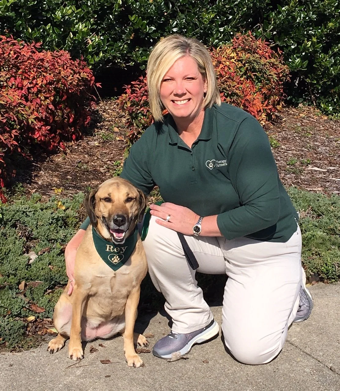 Therapy Teams — Therapy Partners