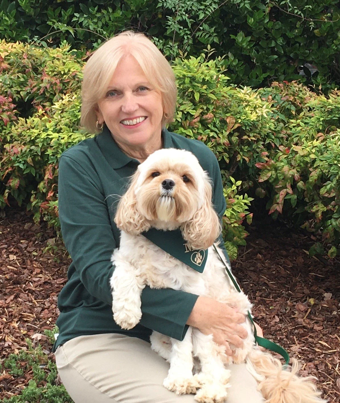 Therapy Teams — Therapy Partners