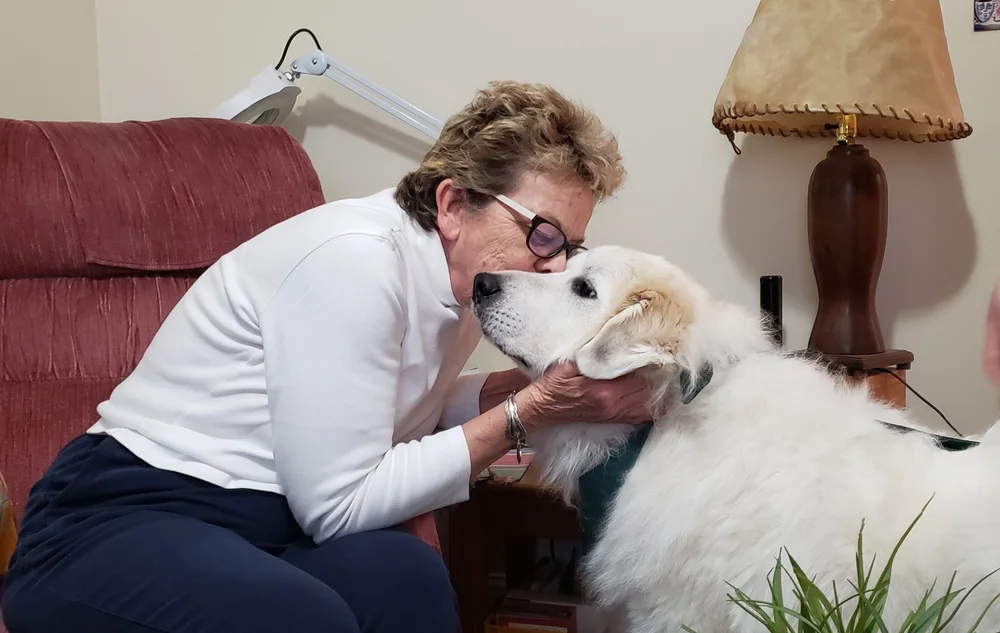 Therapy Partners — Therapy Partners