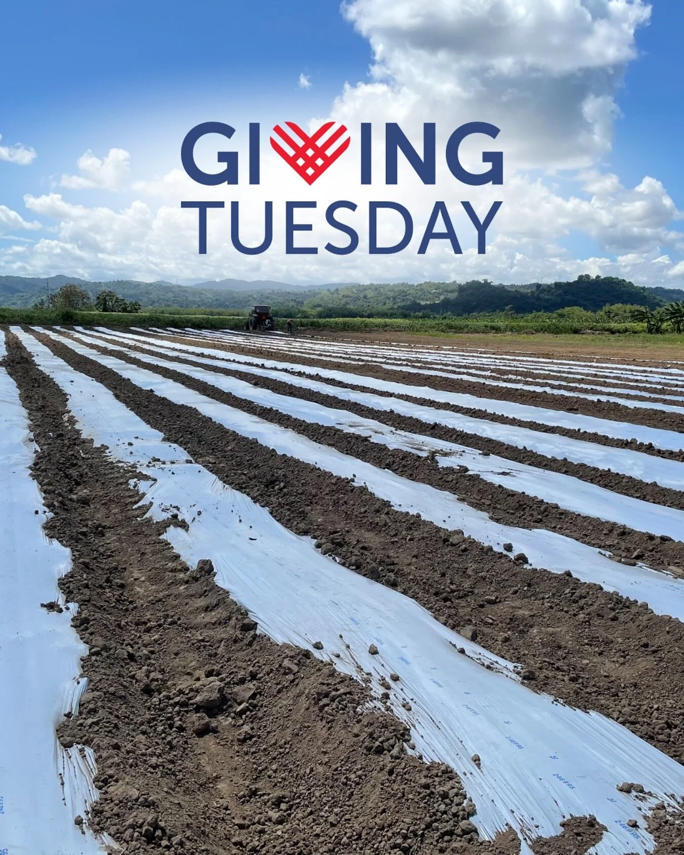 Our Projects — Monte Azul Foundation