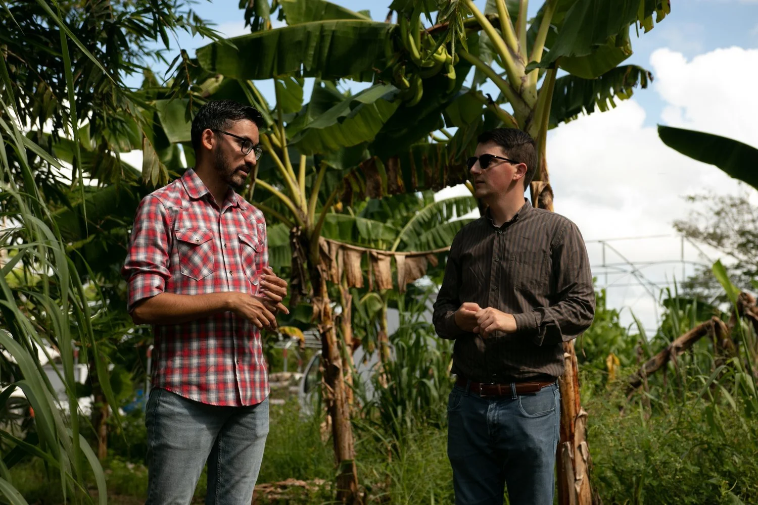 Inicio — Monte Azul Foundation