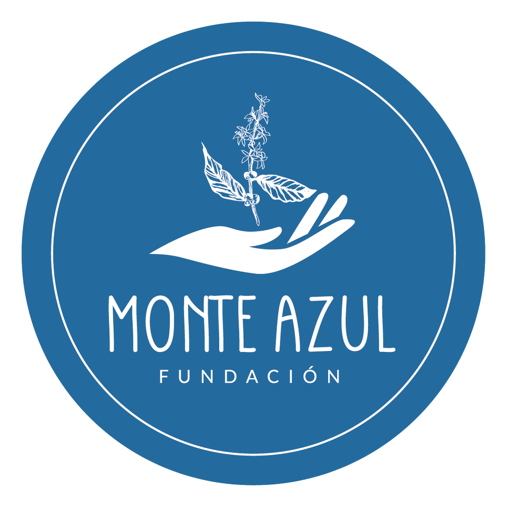 Sobre Nosotros — Monte Azul Foundation
