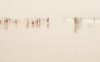 Beach — Judith Gigliotti