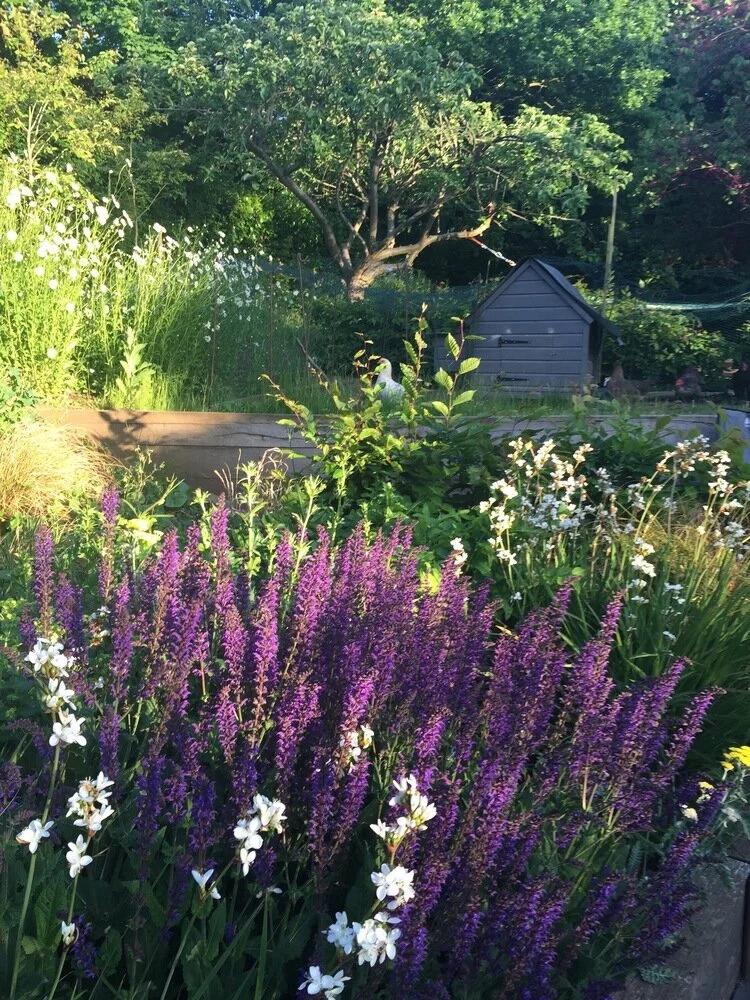 BLACKHOUSE STUDIO — AREA Landscape Architects