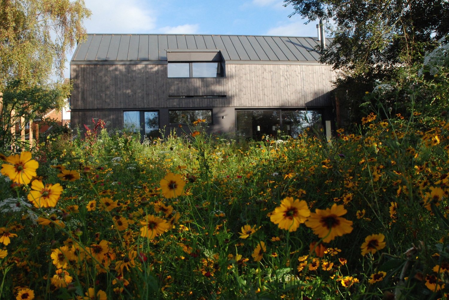 BLACKHOUSE STUDIO — AREA Landscape Architects