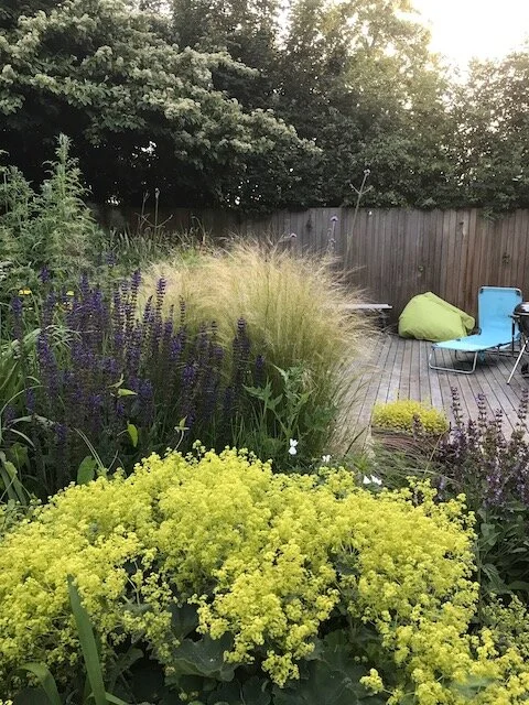 BLACKHOUSE STUDIO — AREA Landscape Architects