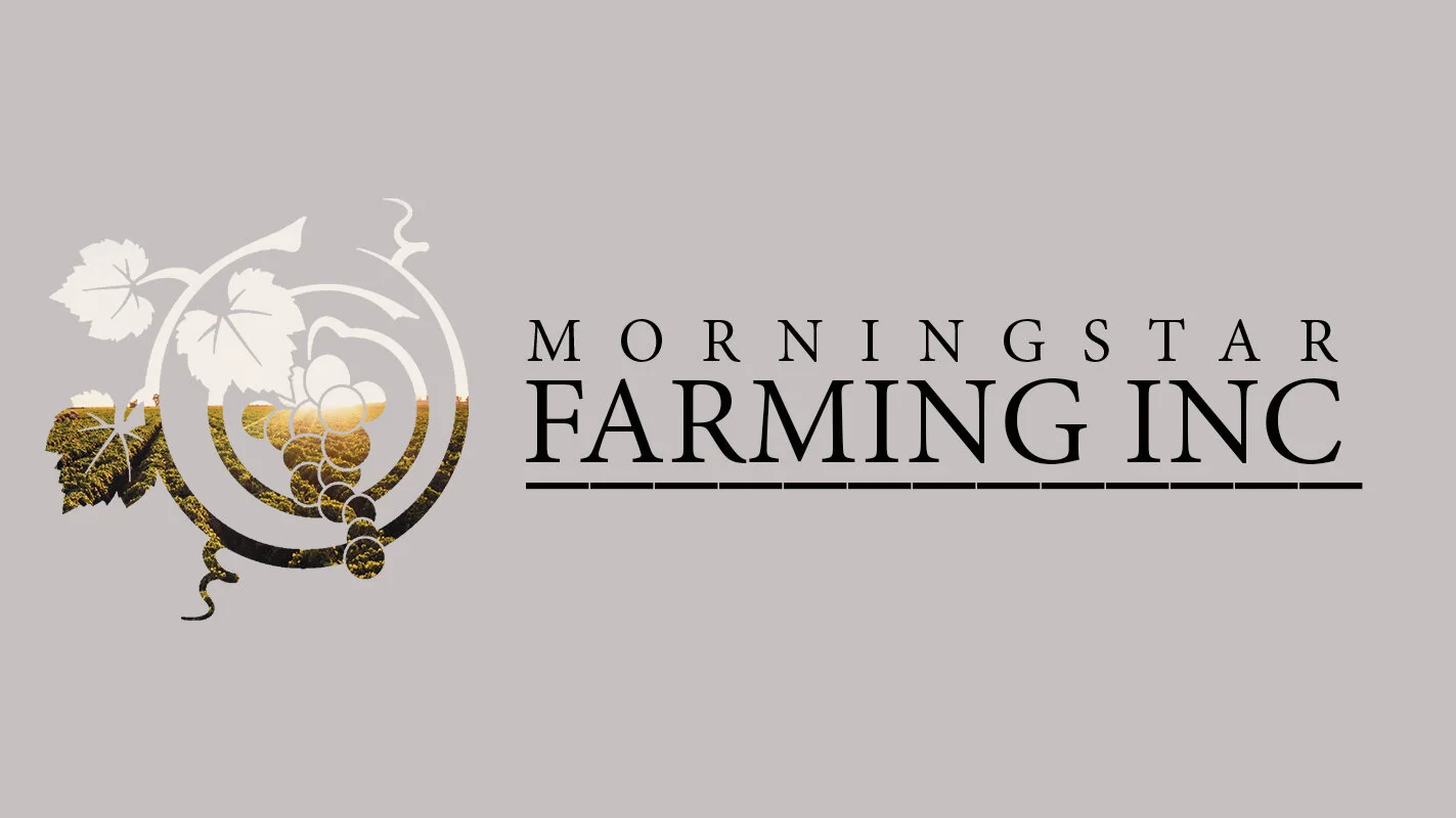 Morningstar Farms Logo