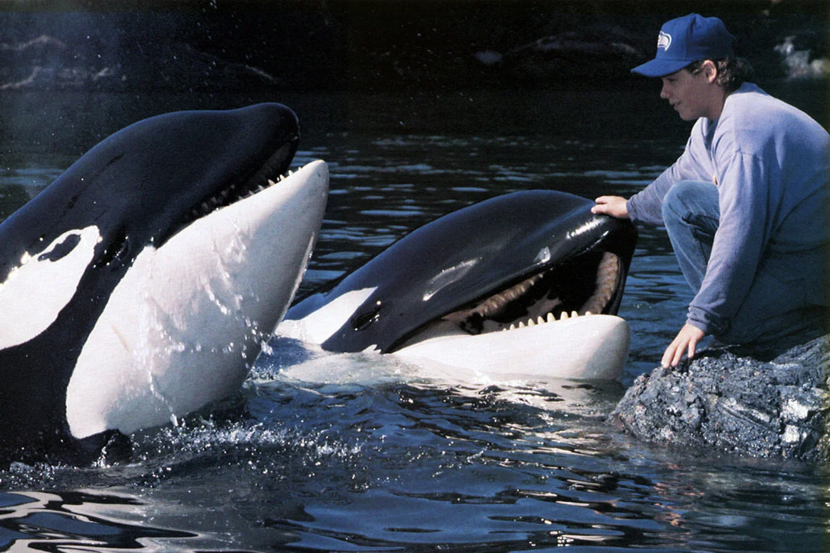 ABOUT — Edge Innovations