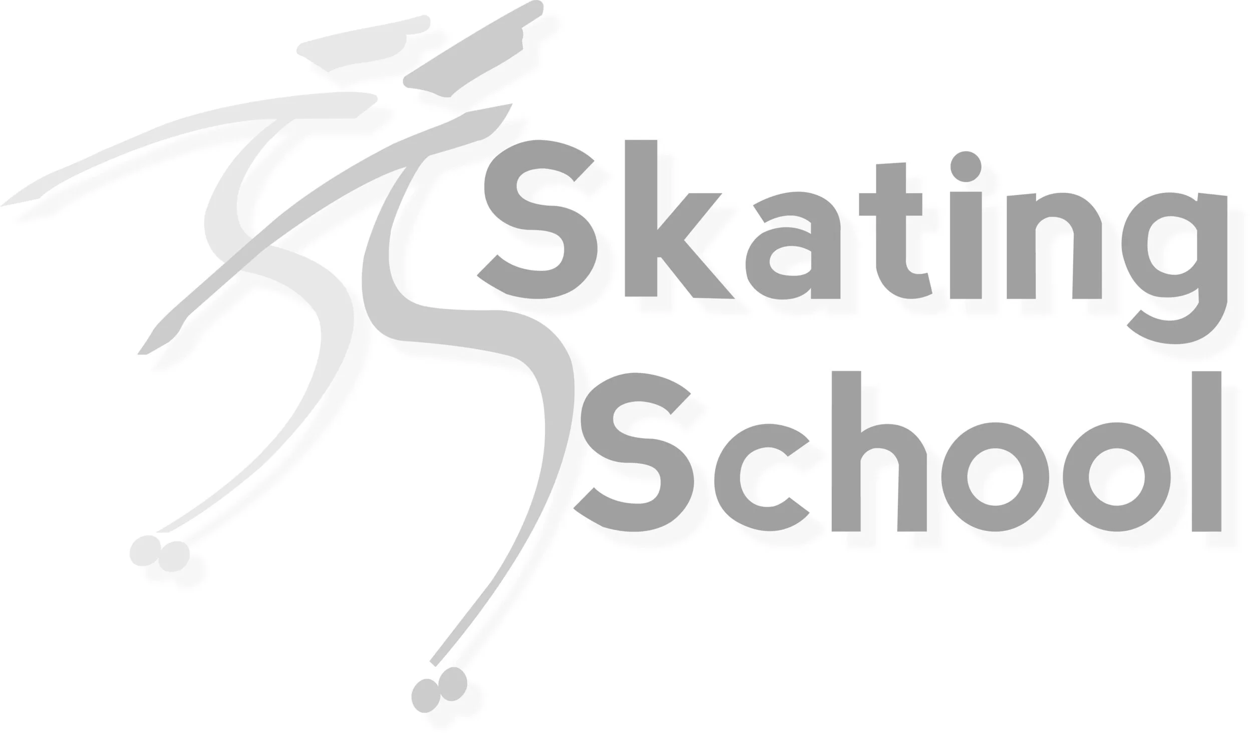 Skating School