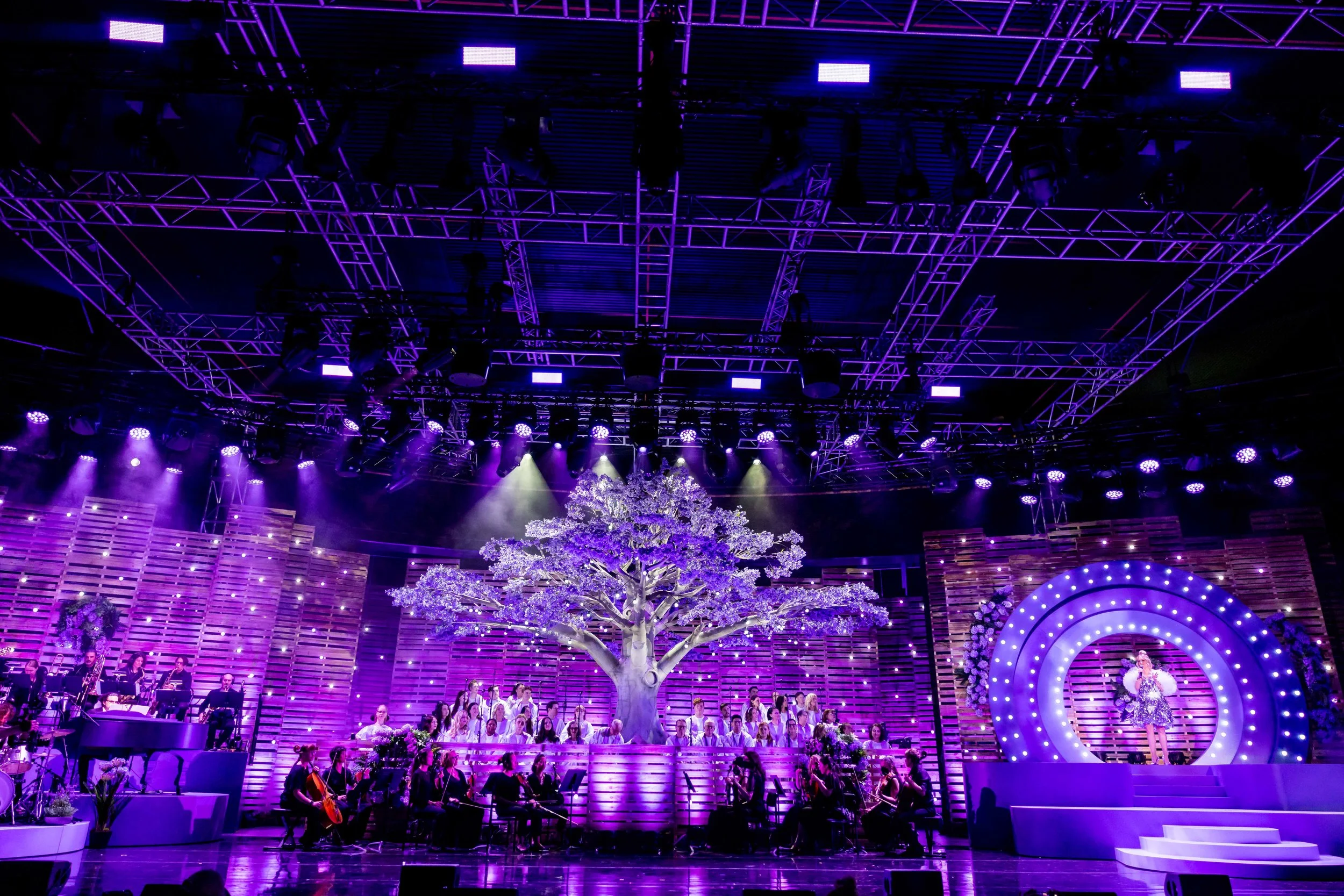 Purple Jacaranda Tree — Autumn Grove Events