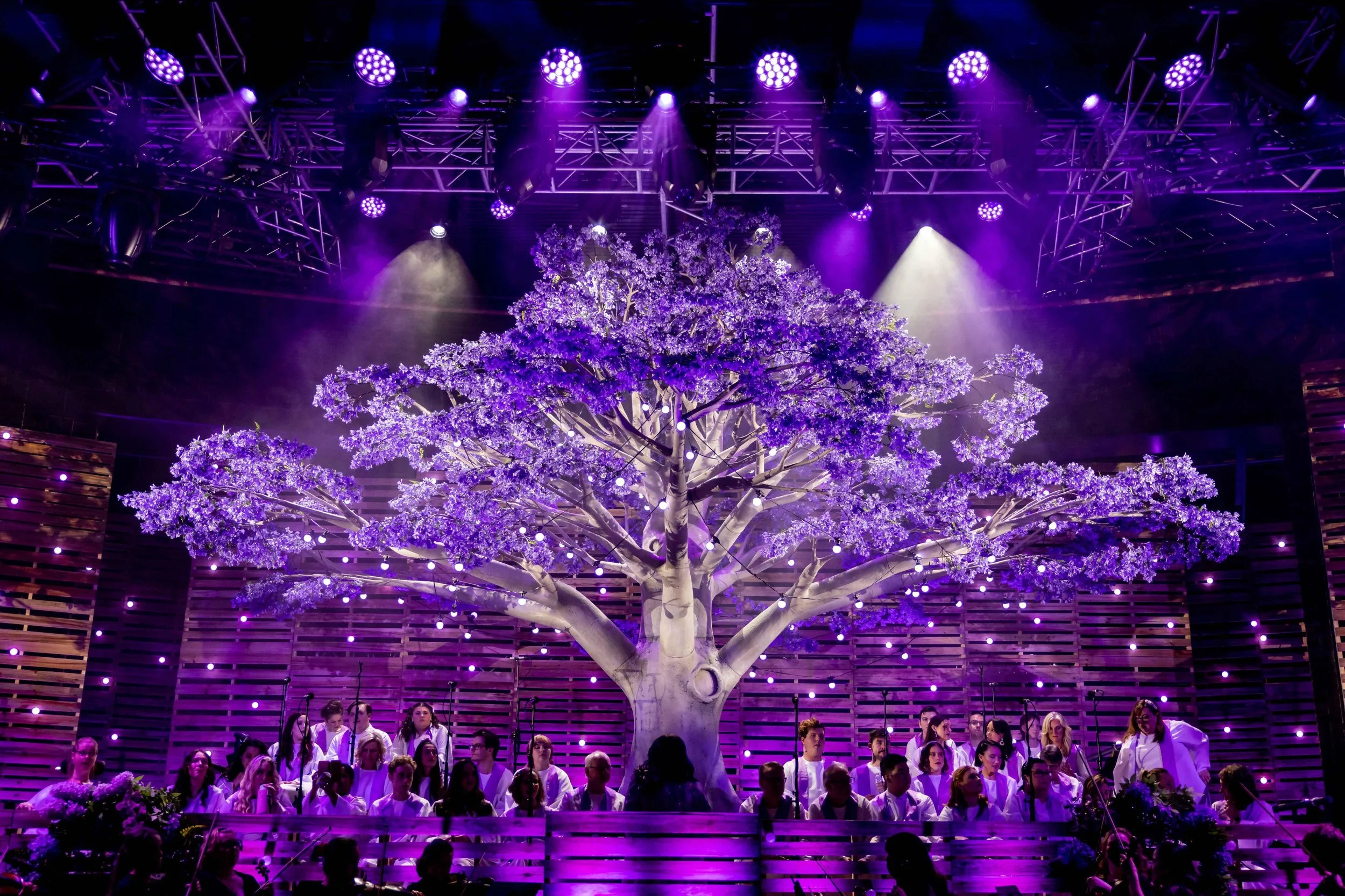 Purple Jacaranda Tree — Autumn Grove Events
