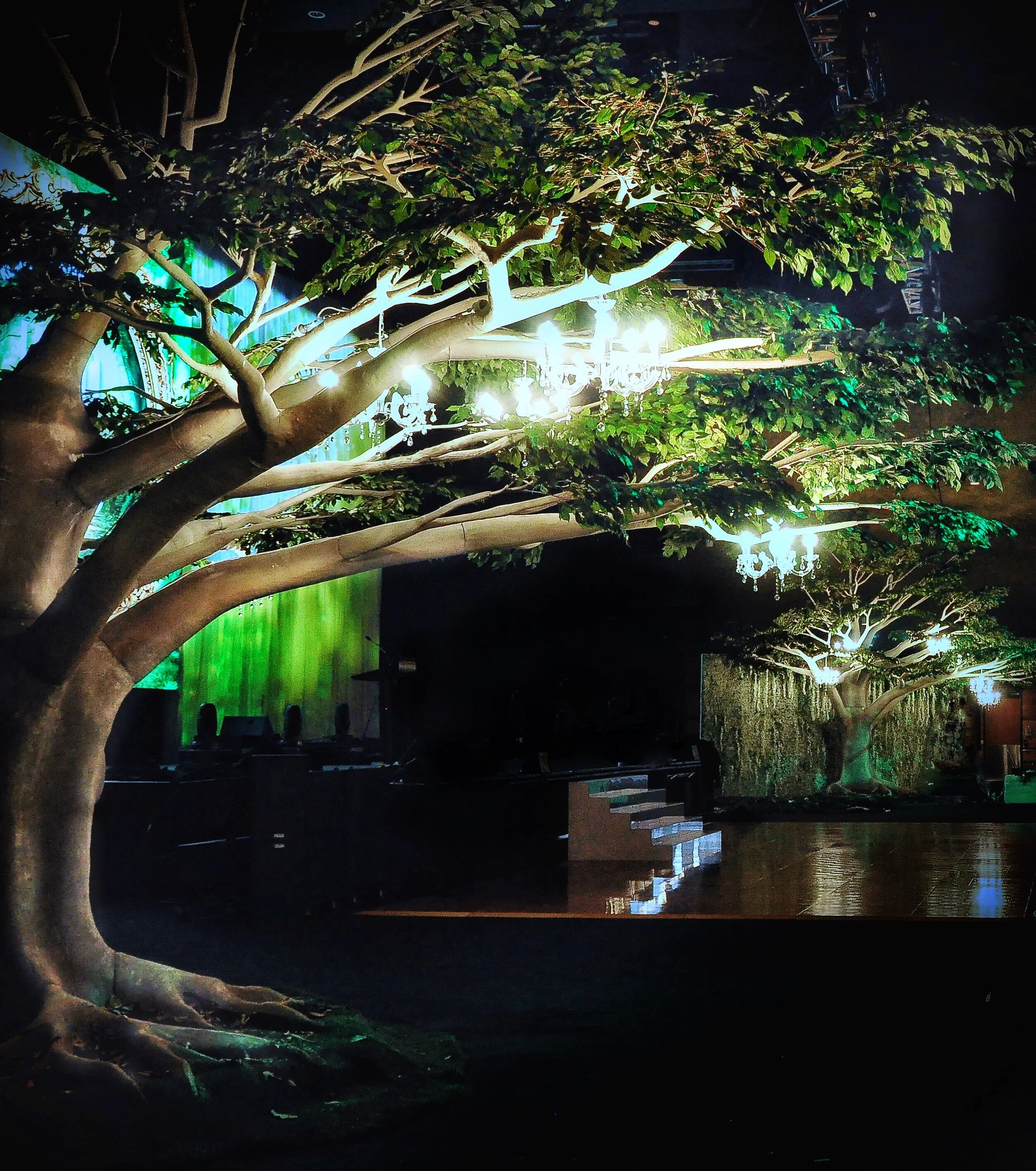 View Our Gallery — Autumn Grove Events