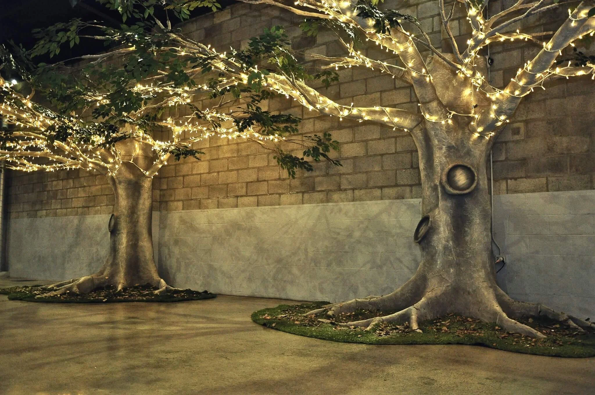 View Our Gallery — Autumn Grove Events