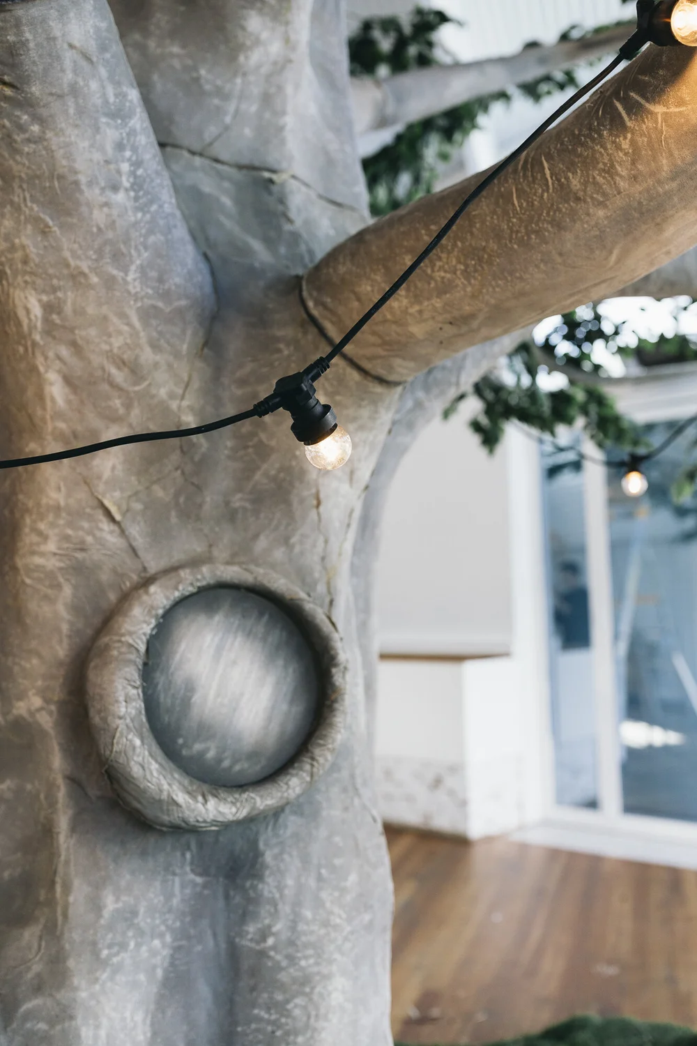 Festoon Lighting — Autumn Grove Events