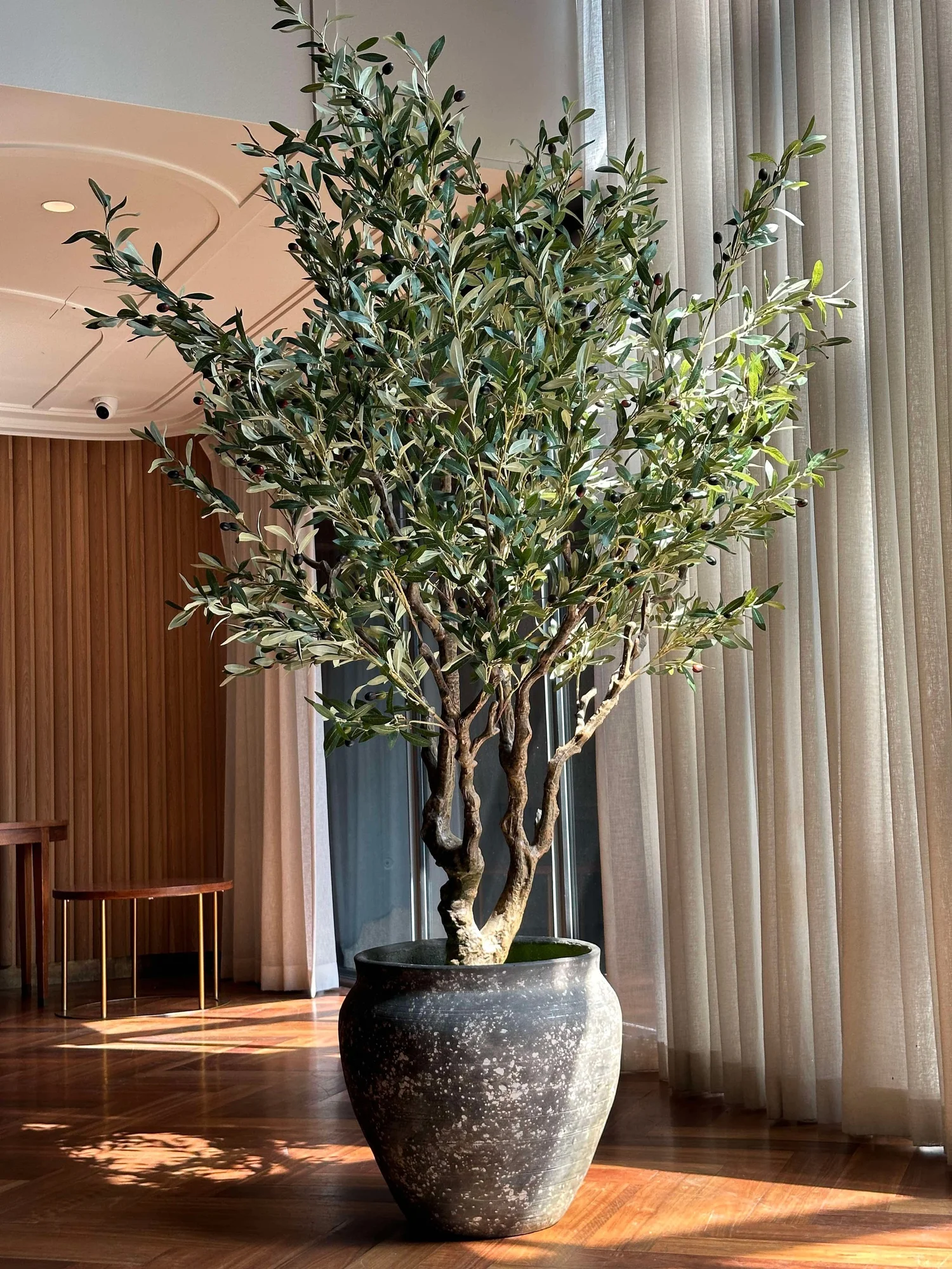 How to Create a Luxurious European-Inspired Wedding with Olive Tree ...