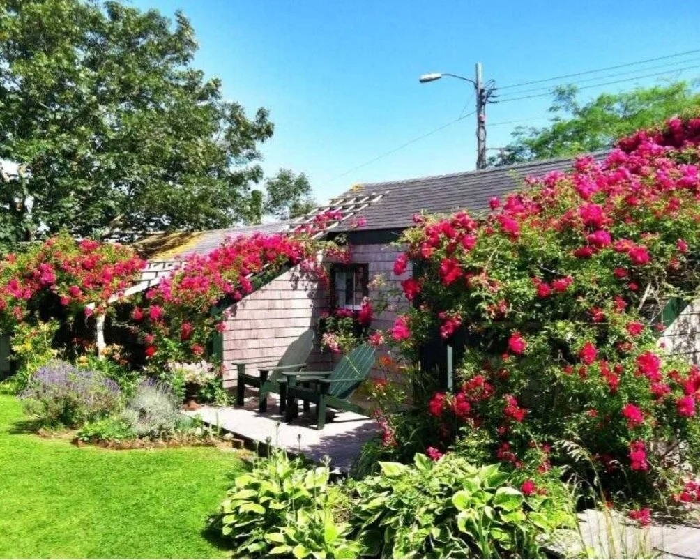 The Summer House