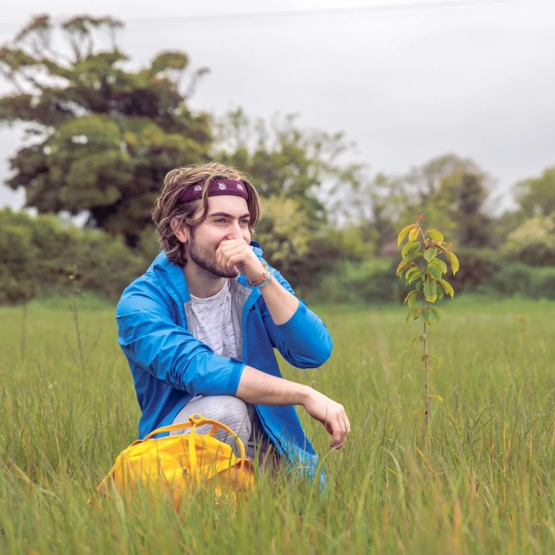 Reforest Nation: Planting 1 Million Irish Trees - Join Us!