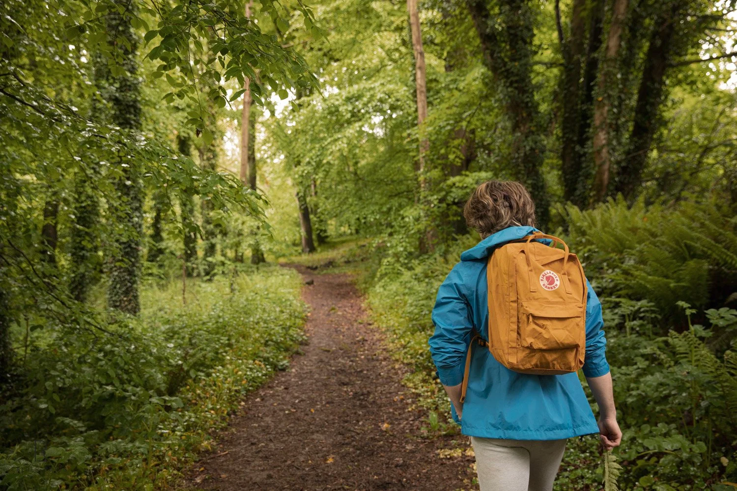 Reforest Nation: Planting 1 Million Irish Trees - Join Us!