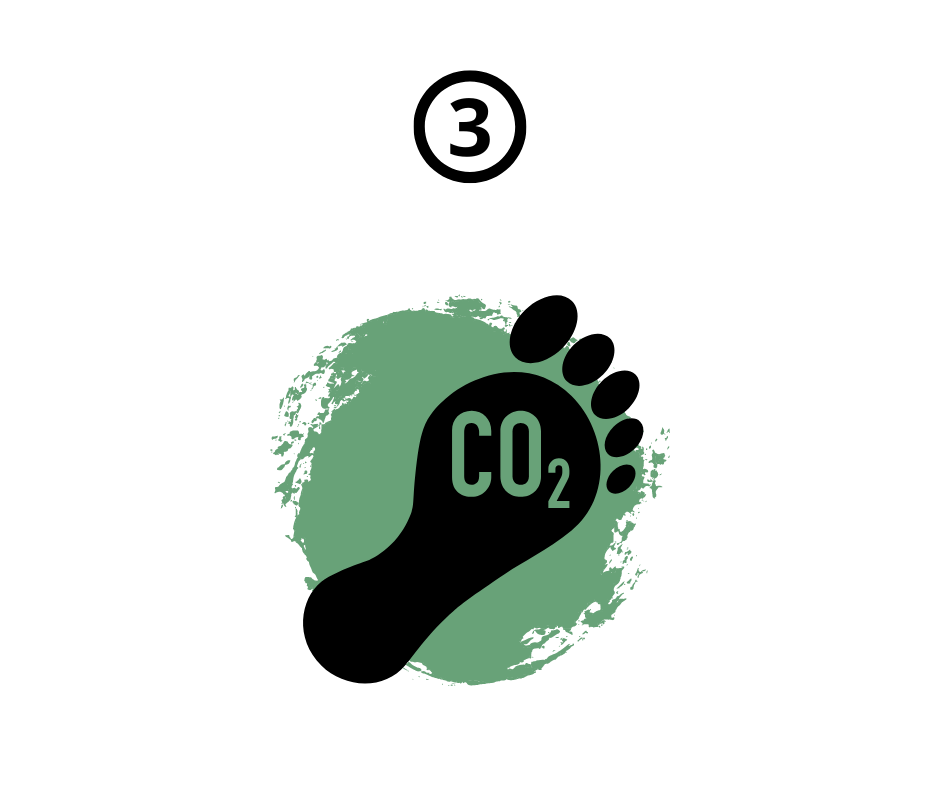 Reforest Nation: Planting 1 Million Irish Trees - Join Us!