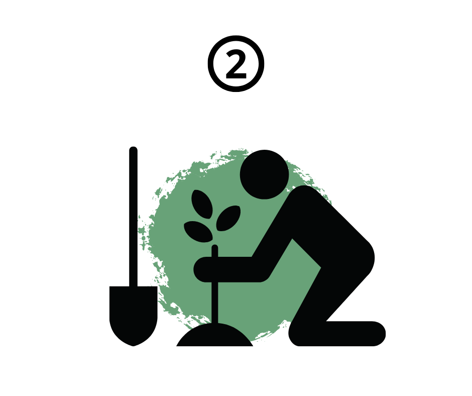 Reforest Nation: Planting 1 Million Irish Trees - Join Us!