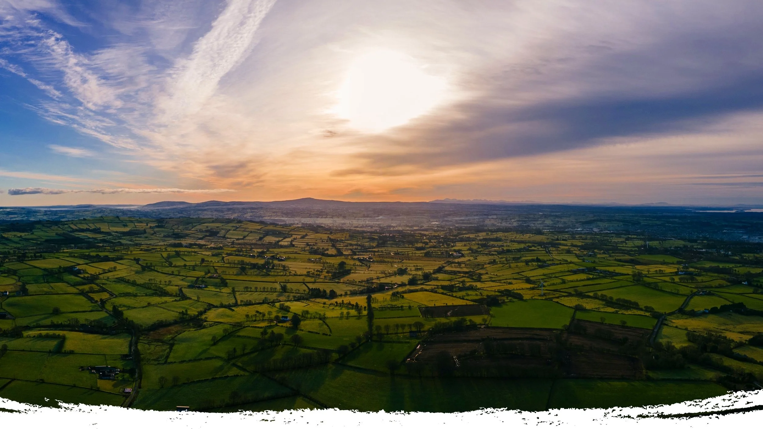 Reforest Nation: Planting 1 Million Irish Trees - Join Us!