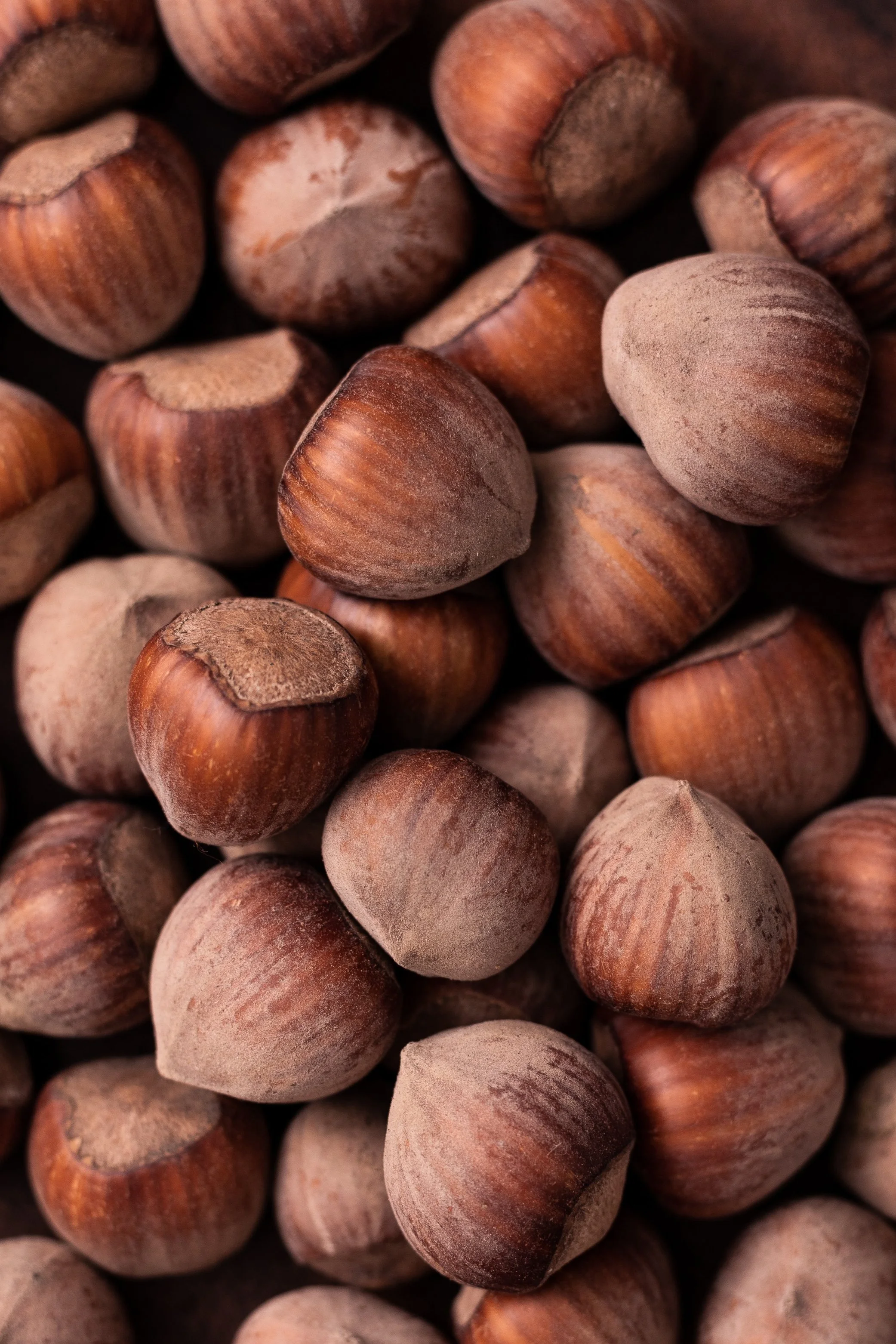 Gift a Tree in Ireland: Sustainable, Native Irish Trees for Special ...