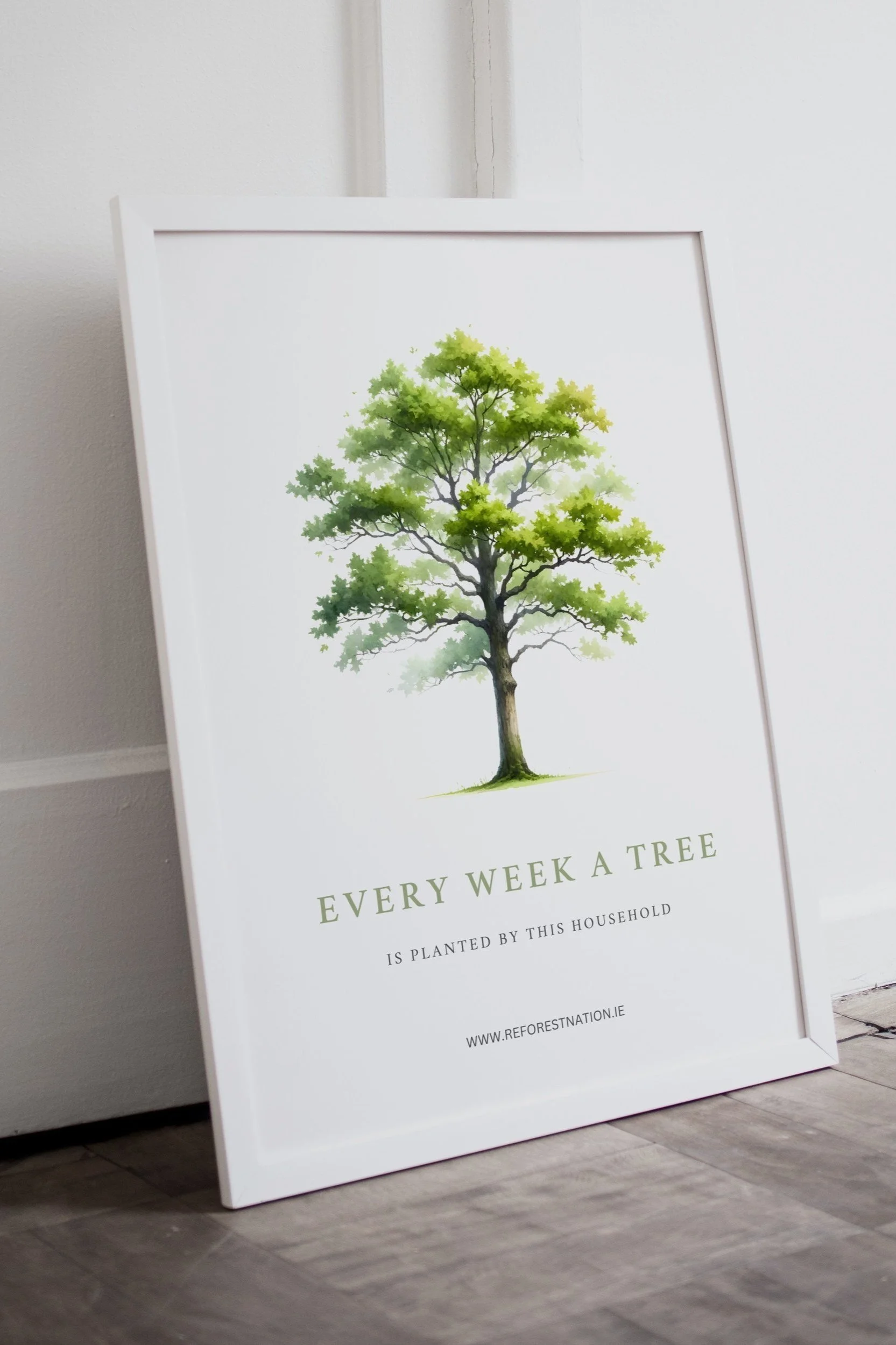 Gift a Tree in Ireland: Sustainable, Native Irish Trees for Special ...