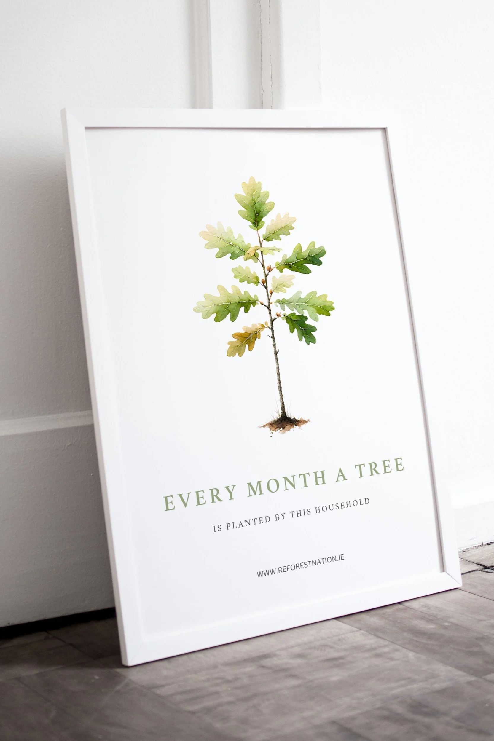 Gift a Tree in Ireland: Sustainable, Native Irish Trees for Special ...