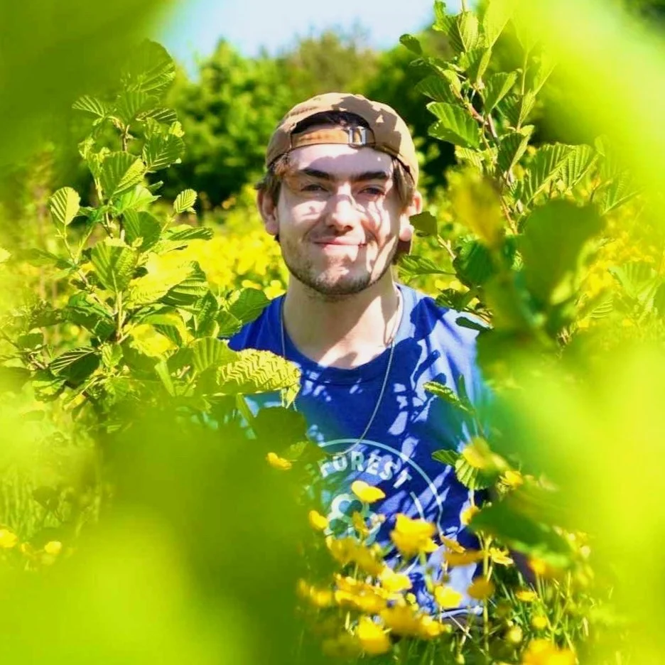 Planting Memorial Trees in Ireland | Reforest Nation