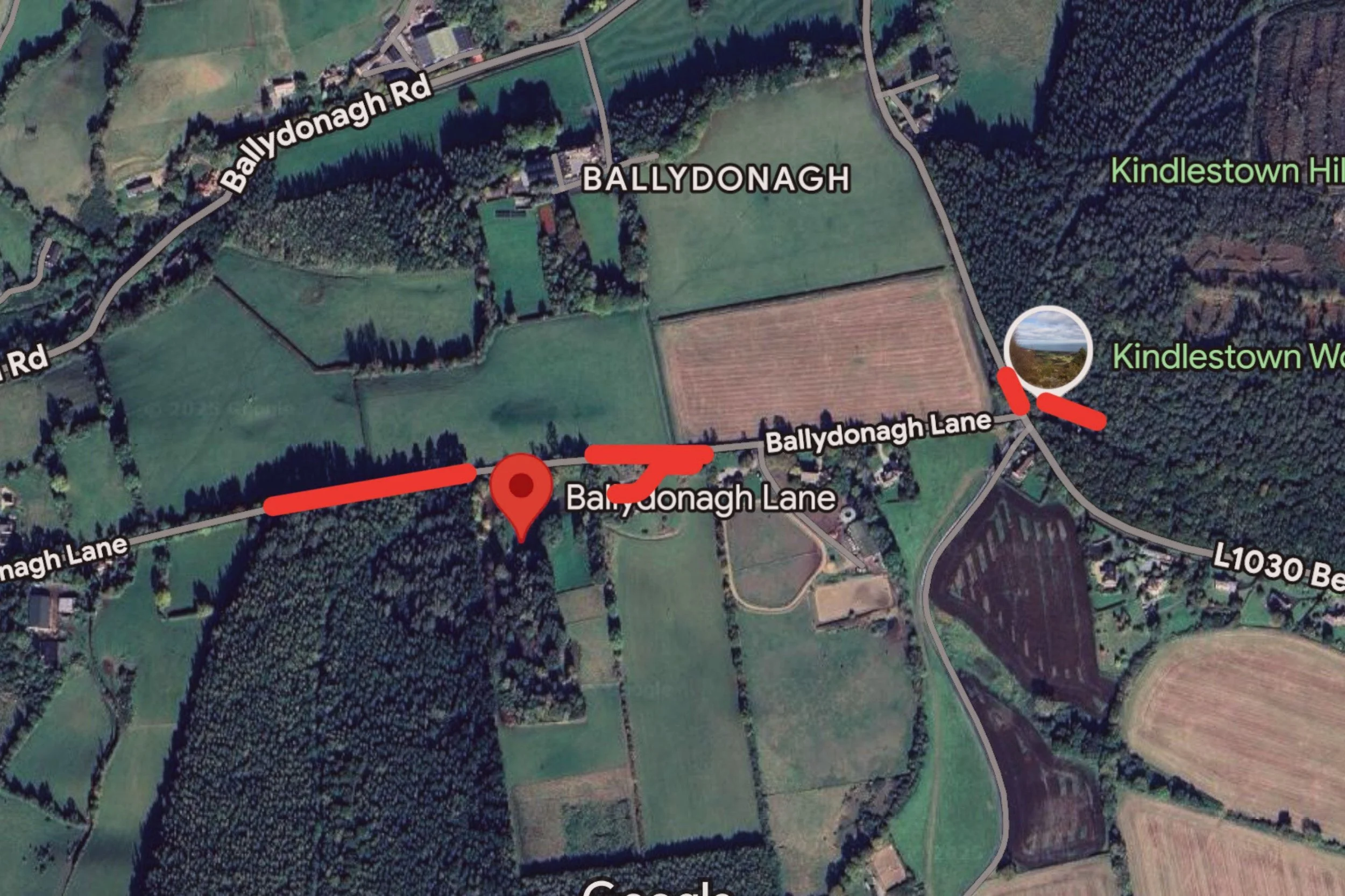 Tree Planting Events Ireland | Join Reforest Nation Activities
