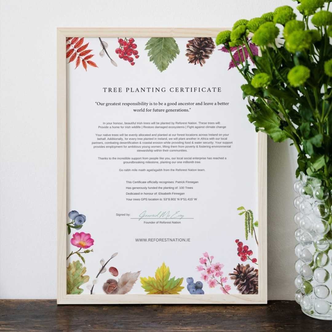 Planting Memorial Trees in Ireland | Reforest Nation