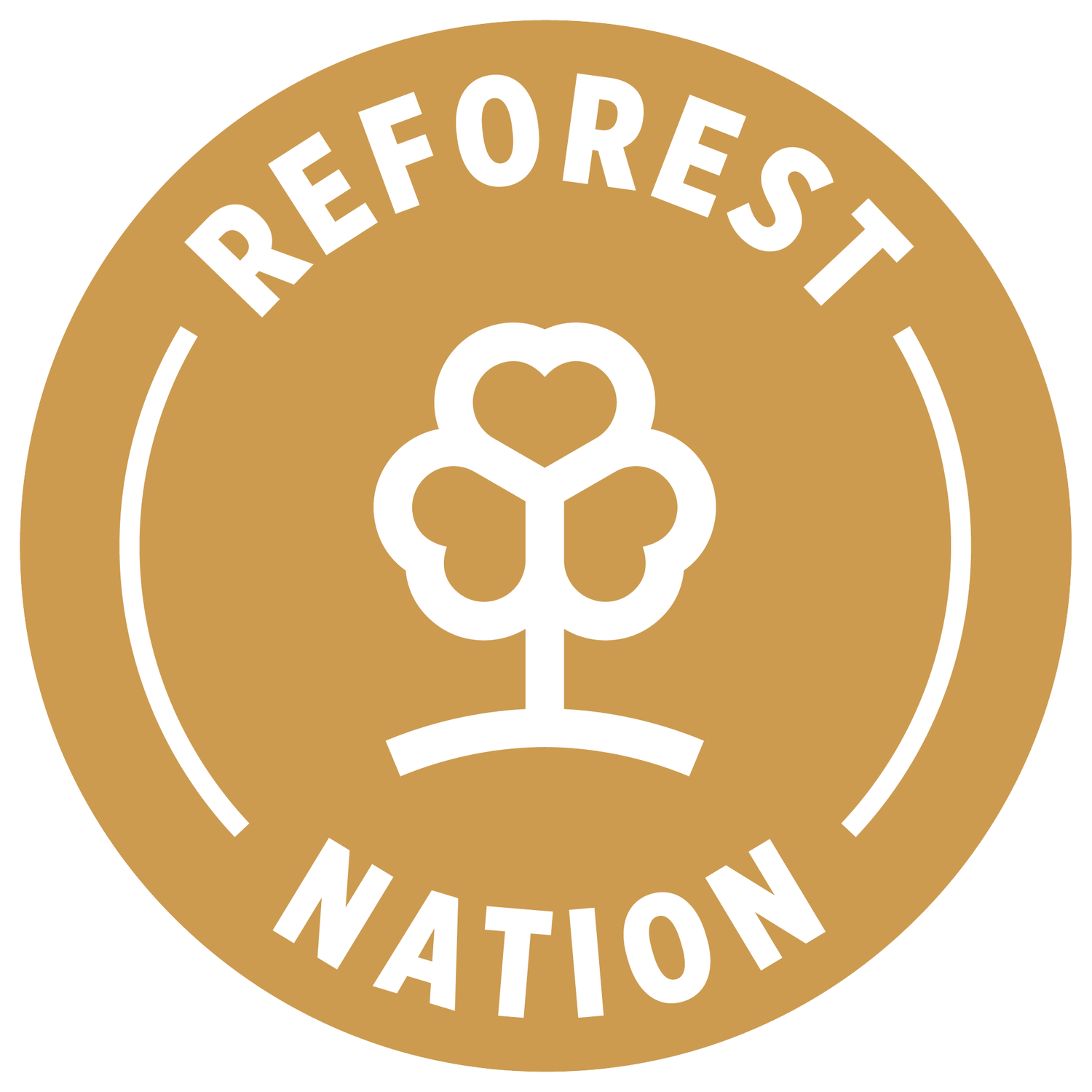 About Reforest Nation | Ireland’s Rewilding Movement