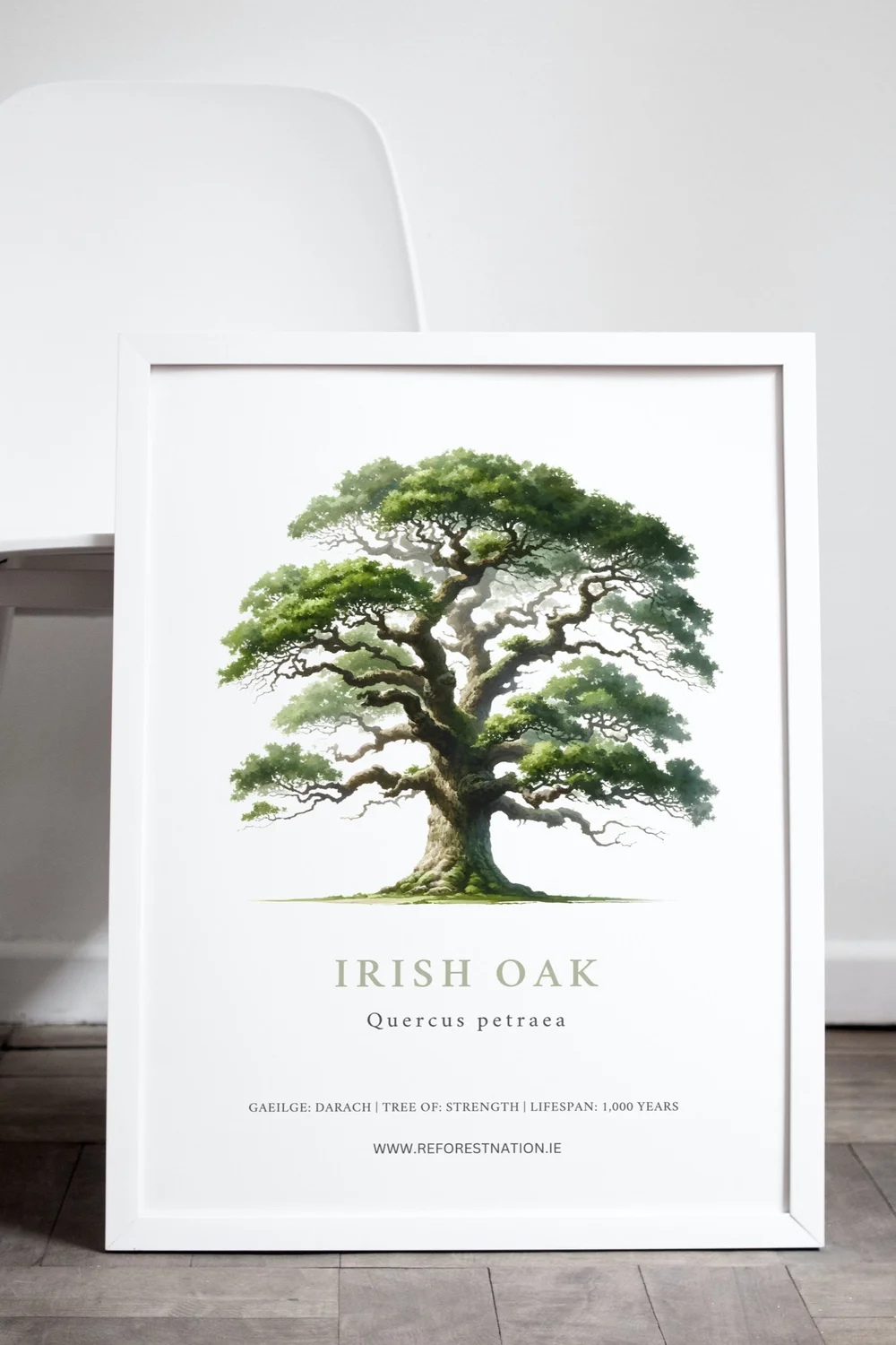 Gift a Tree in Ireland: Sustainable, Native Irish Trees for Special ...