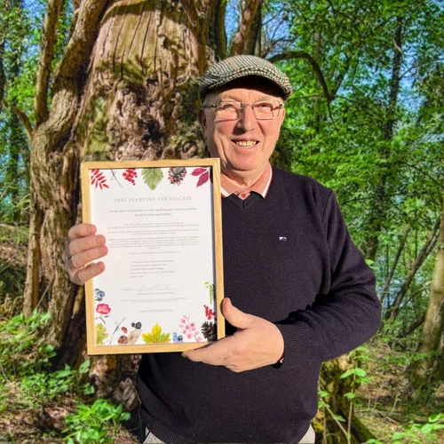 Reforest Nation: Ireland's Reforesting Leader