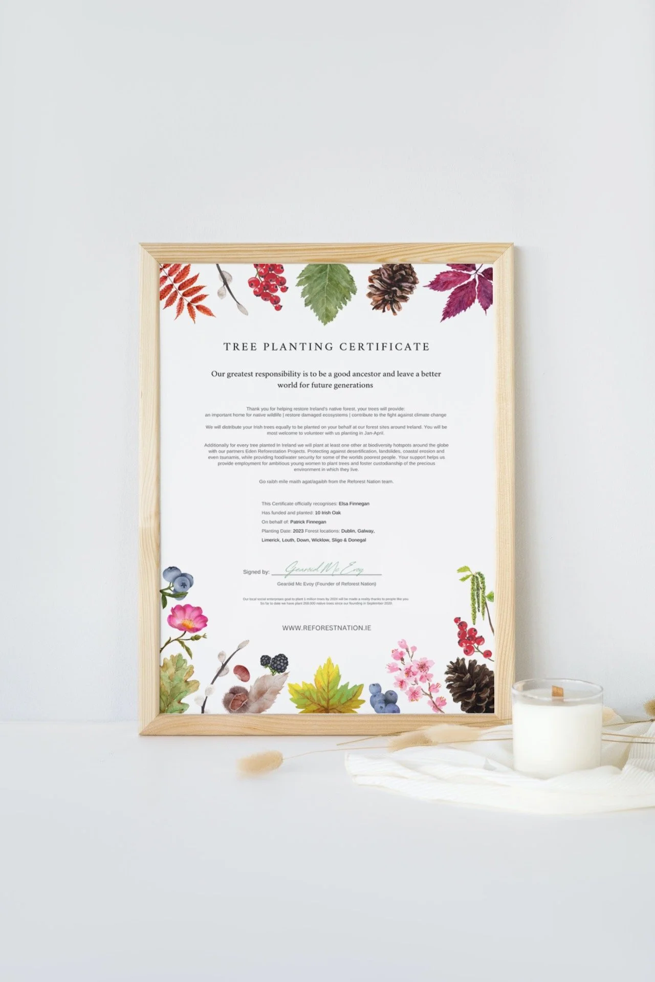 Reforest Nation: Planting 1 Million Irish Trees - Join Us!