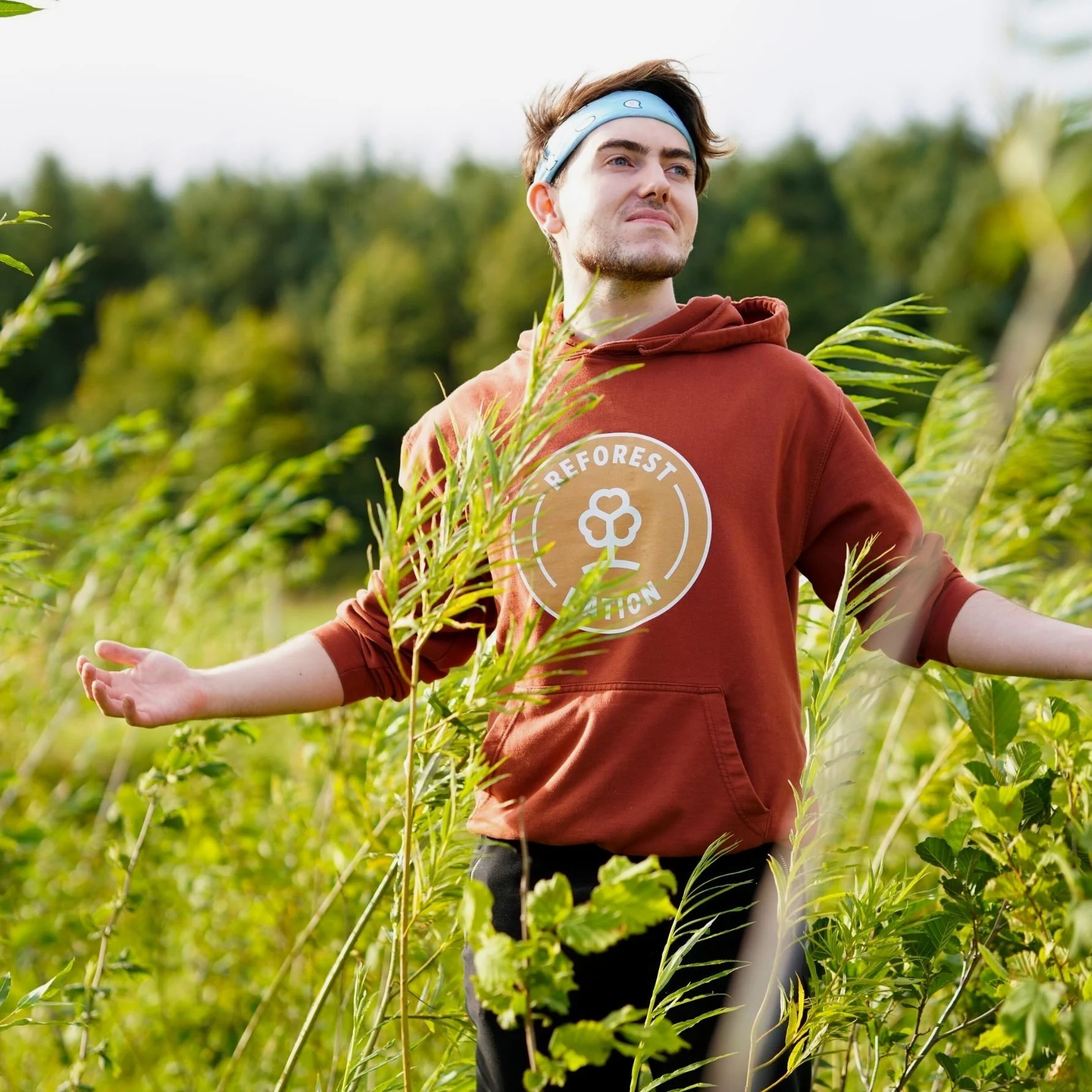 Free Certified Irish Trees For Your Garden or Land