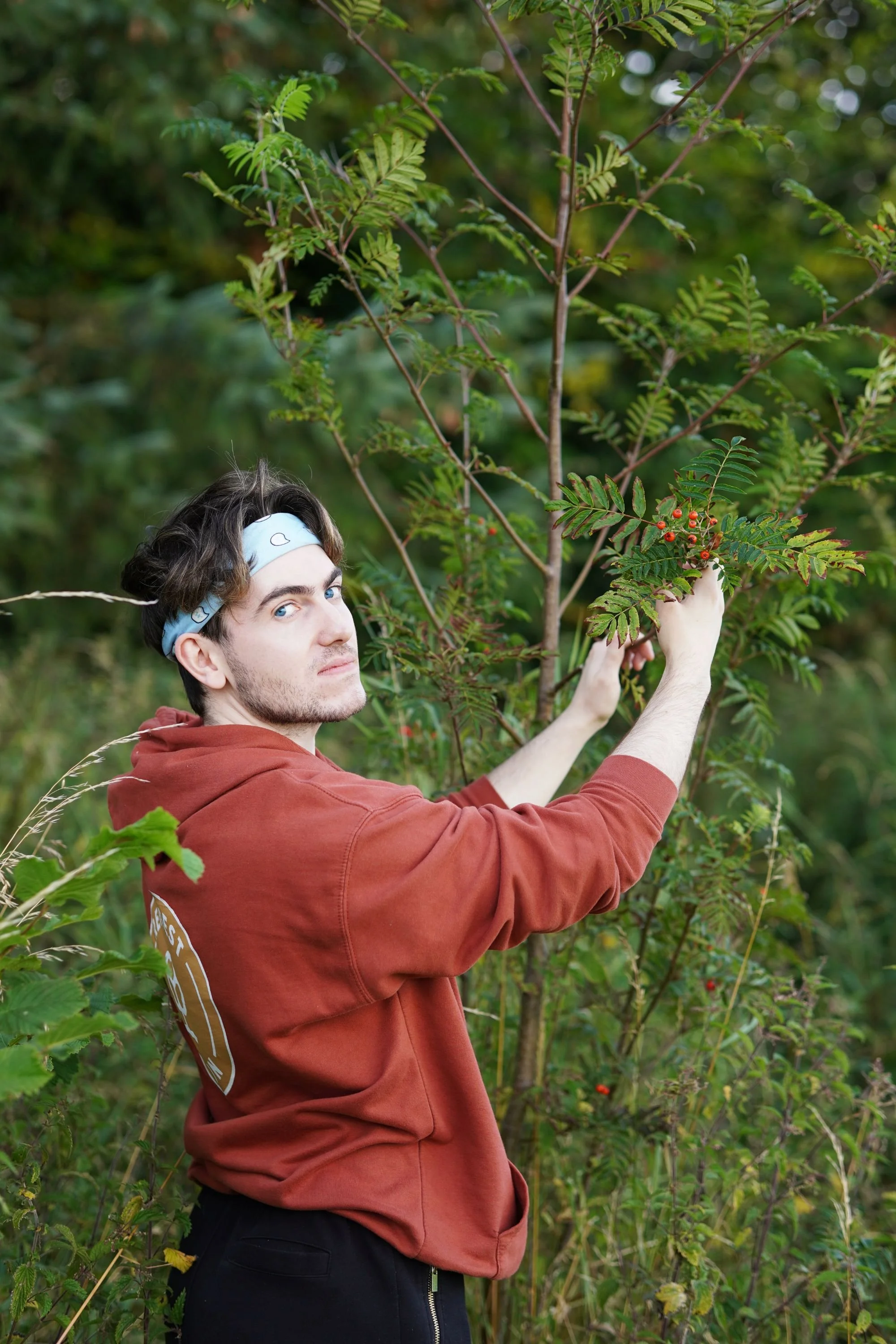 About Reforest Nation | Ireland’s Rewilding Movement