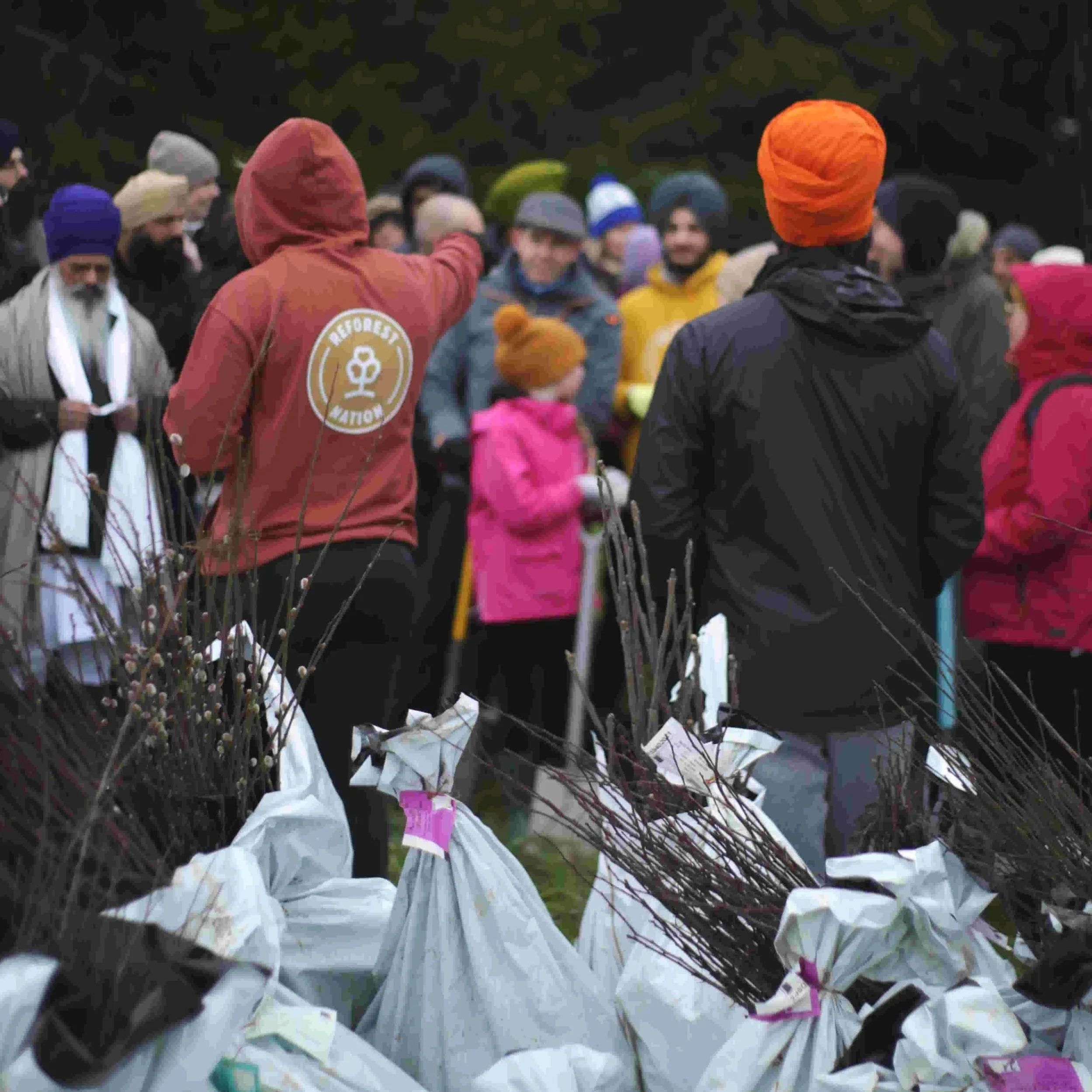 Stunning Memorial Trees Ireland | Dedicate Your Trees Spot 🌳 - Plant A ...