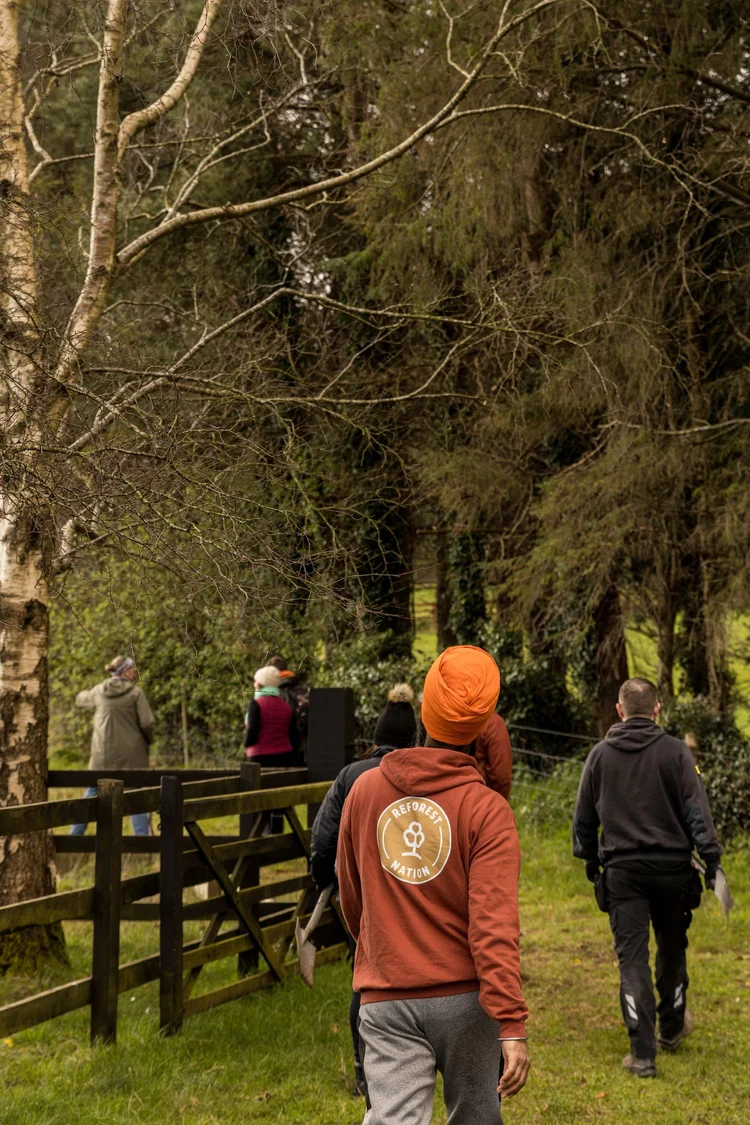 About Reforest Nation | Ireland’s Rewilding Movement