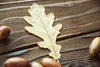 The beginner’s guide to irish native trees: identification, habitats ...