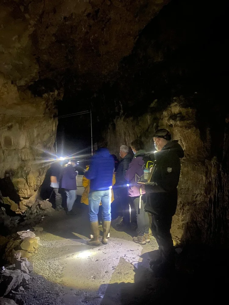 Bat Conservation Ireland x Reforest Nation