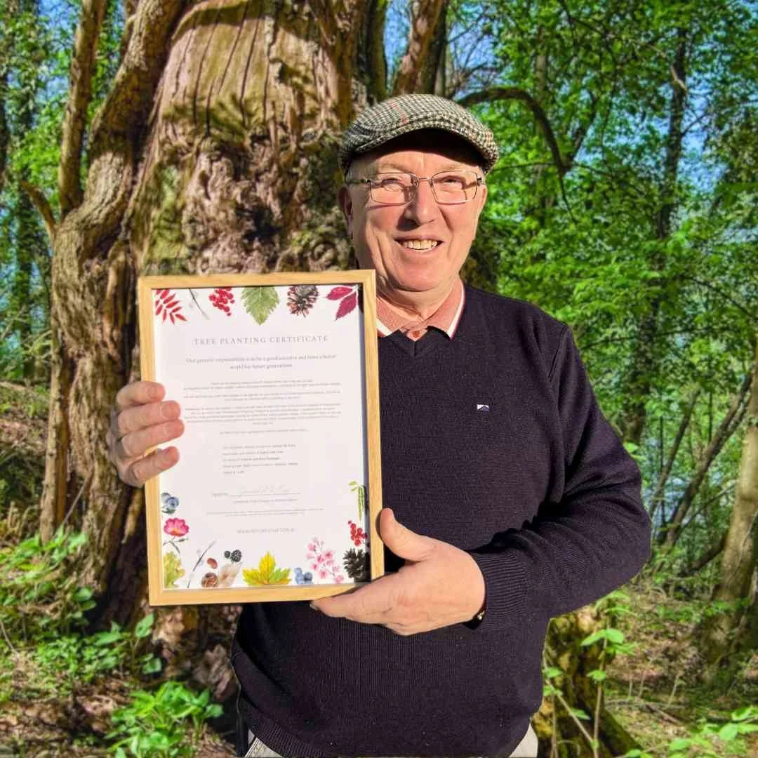 Plant or Gift Irish Trees - 1 Million Already Planted - Join Us!