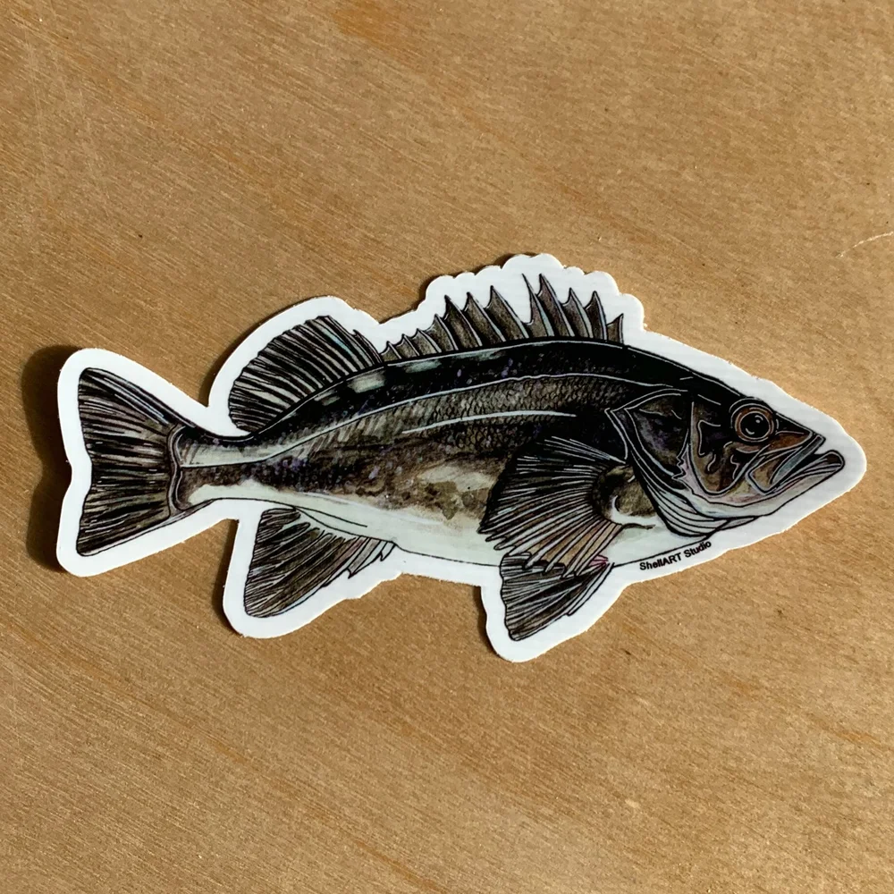Black Rockfish