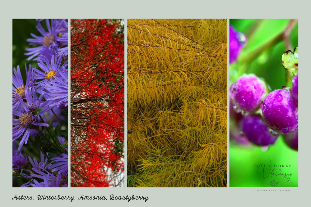 Fantastic Fall Native Plant Combinations — Southern Branch Nursery ...