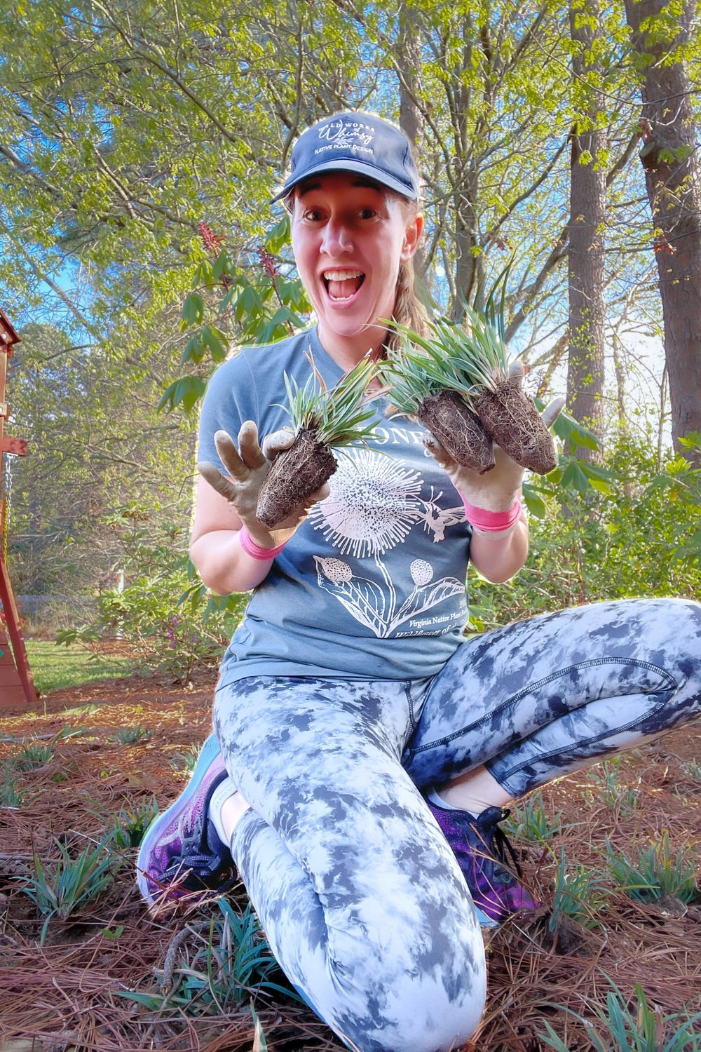 Plug On! The In and Outs of Landscape Plugs — Southern Branch Nursery ...