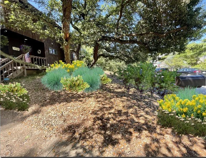 Design Basics for Your Native Plant Community — Southern Branch Nursery ...