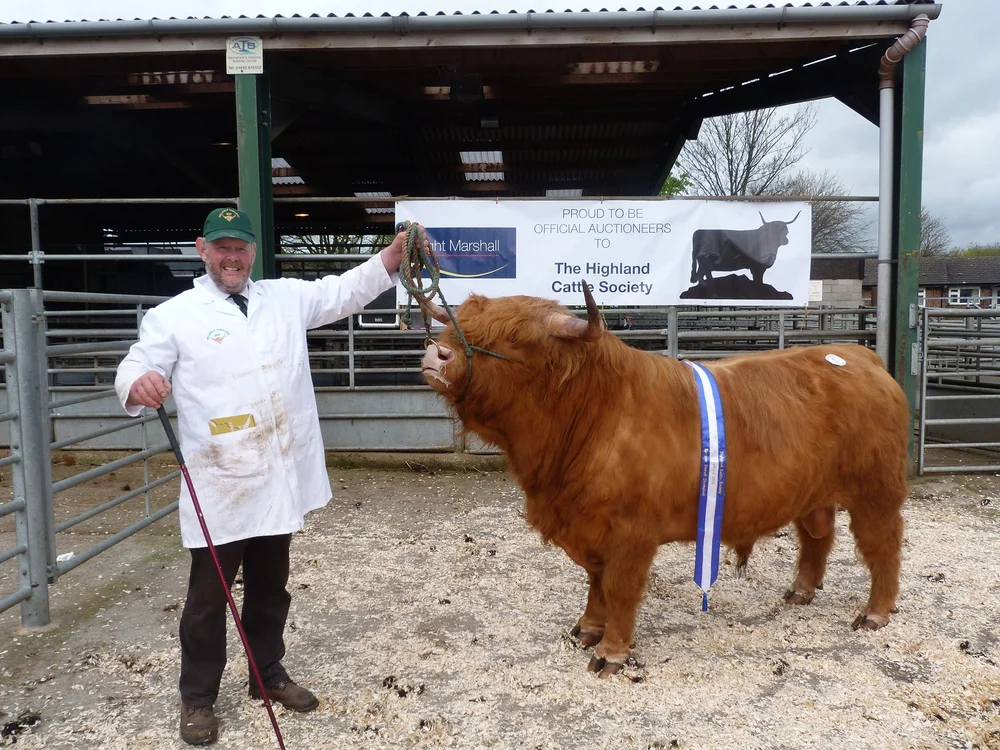 Robert Phillip — Highland Cattle Society