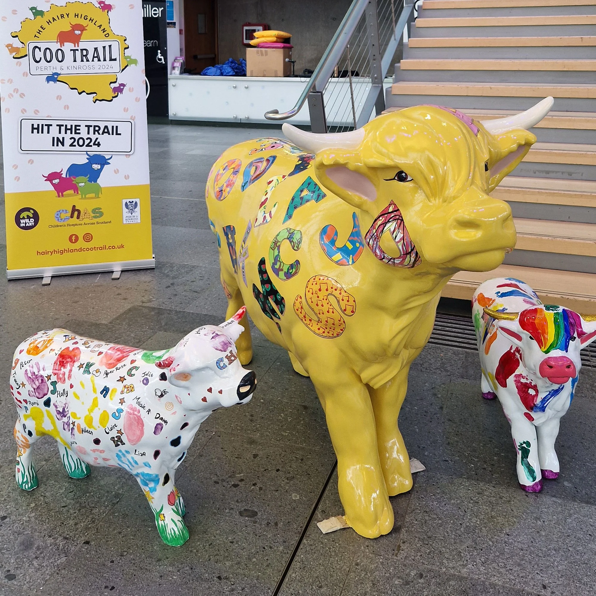 Come and follow the Hairy Highland Coo Trail this summer — Highland ...