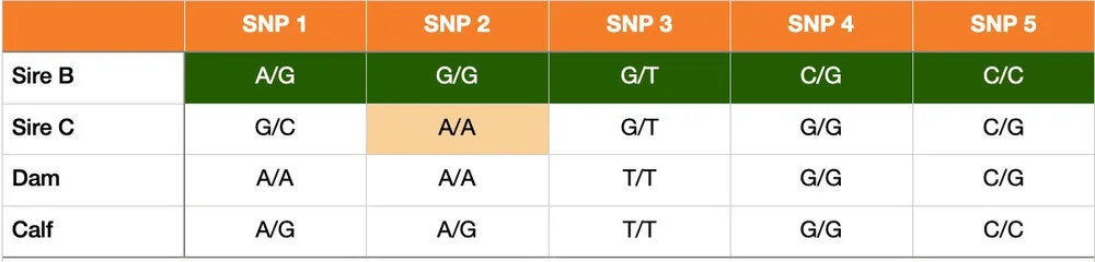 Neogen Genomics — Highland Cattle Society